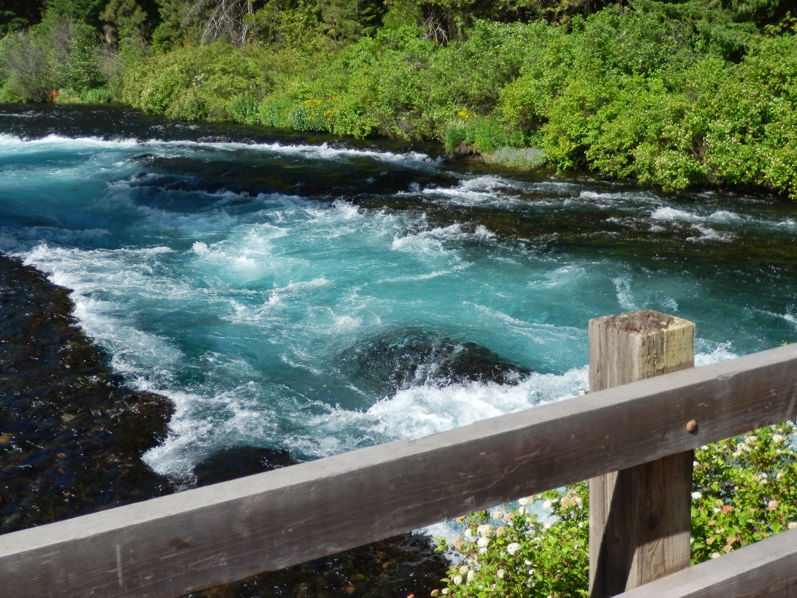 Tending Our Gardens: A Summer Evening Walk Past Cabins on the Metolius ...