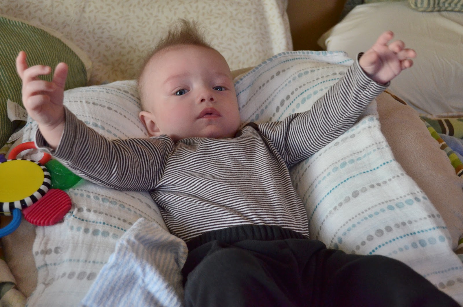 Growing Up Folden: Happy 6th month birthday, Joshua!