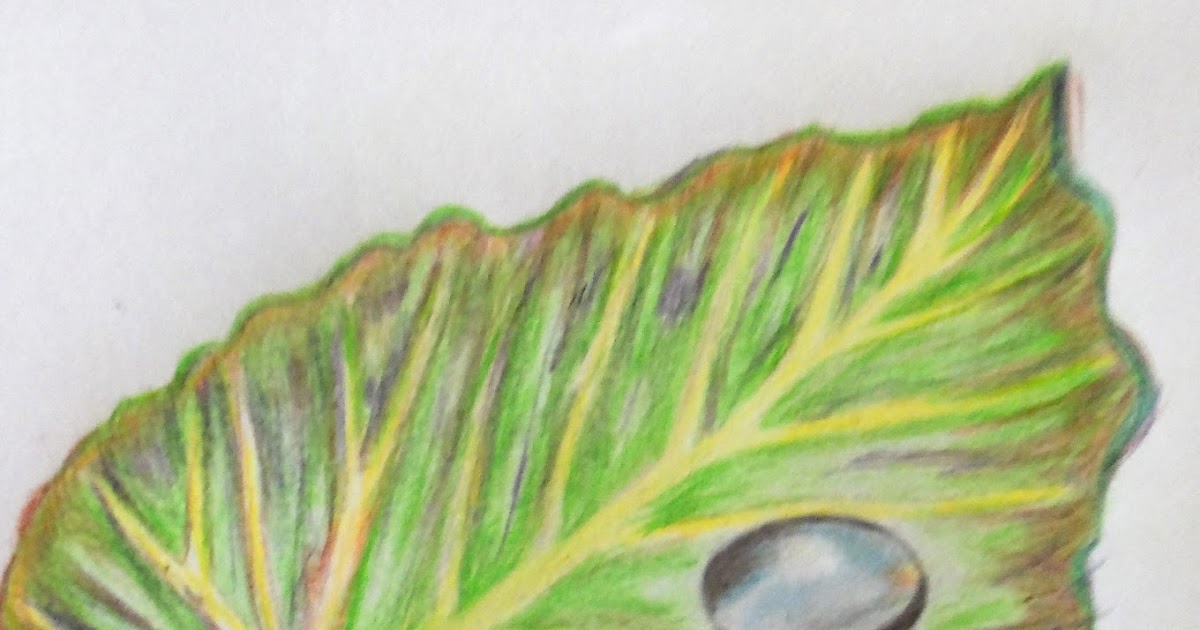 Light and Shade | Painting