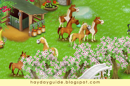 Hay Day Guide