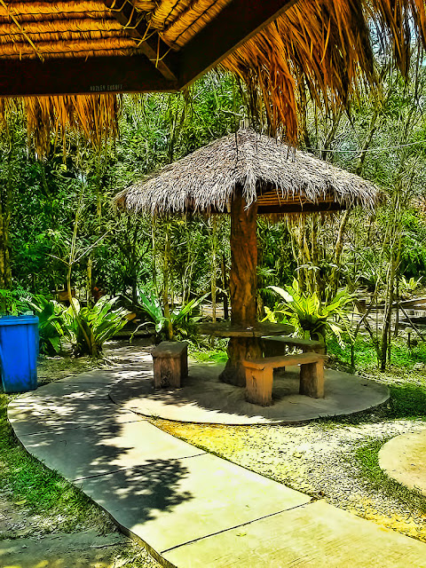 The Explorer : Sungai Klah Felda Residence: Hot Springs