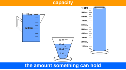 Mrs. Hollis' Magnificent 4/5 Minions