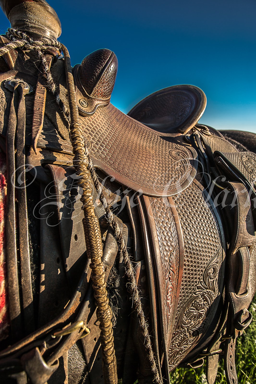 Cowgirl Mama: Skye Clarke Photography, #WesternArtWednesday