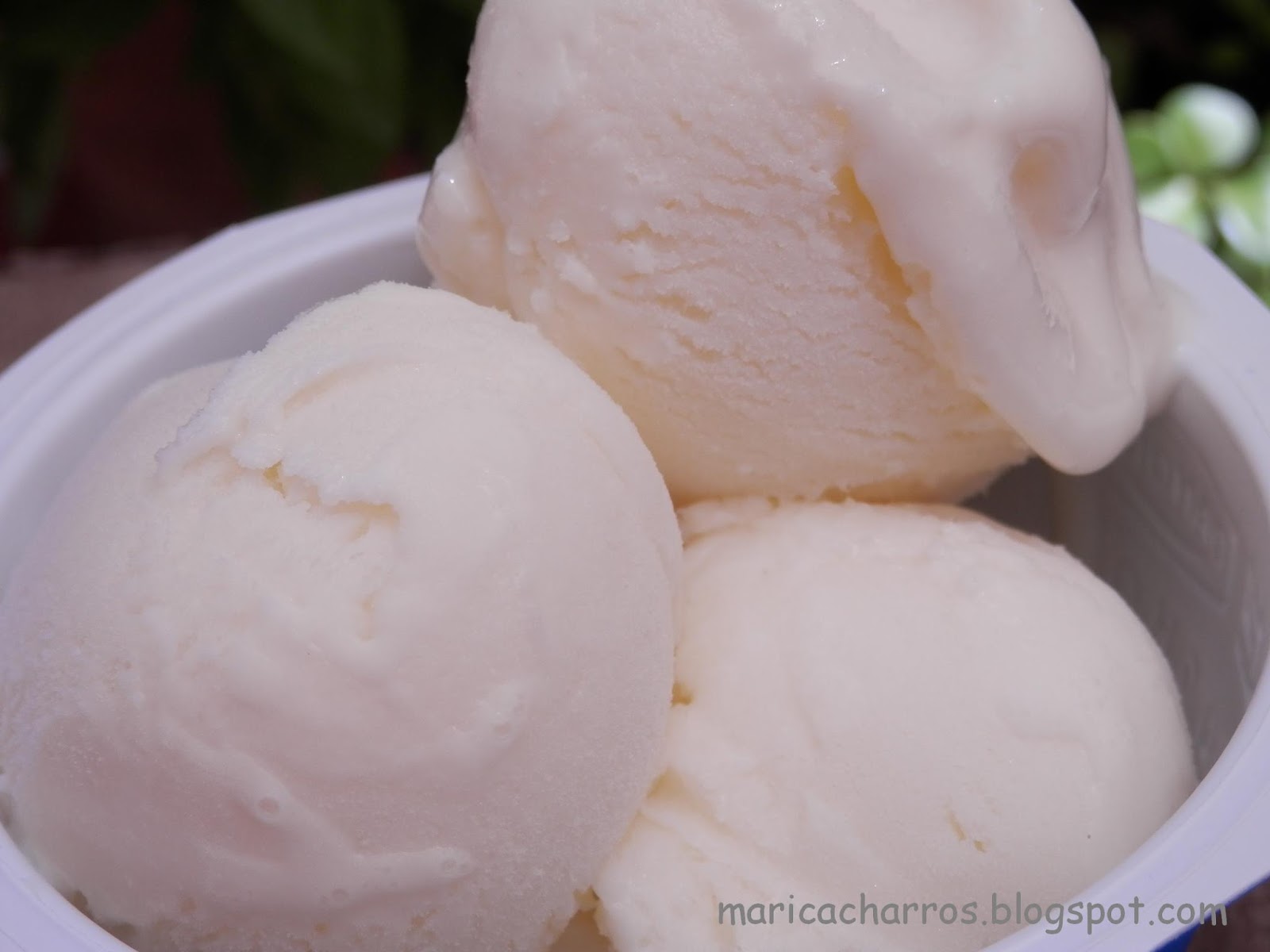 Helado de yogourt griego y azúcar invertido | Maricacharros