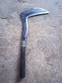 Alat Pertanian: Alat Pertanian Arit atau Sabit