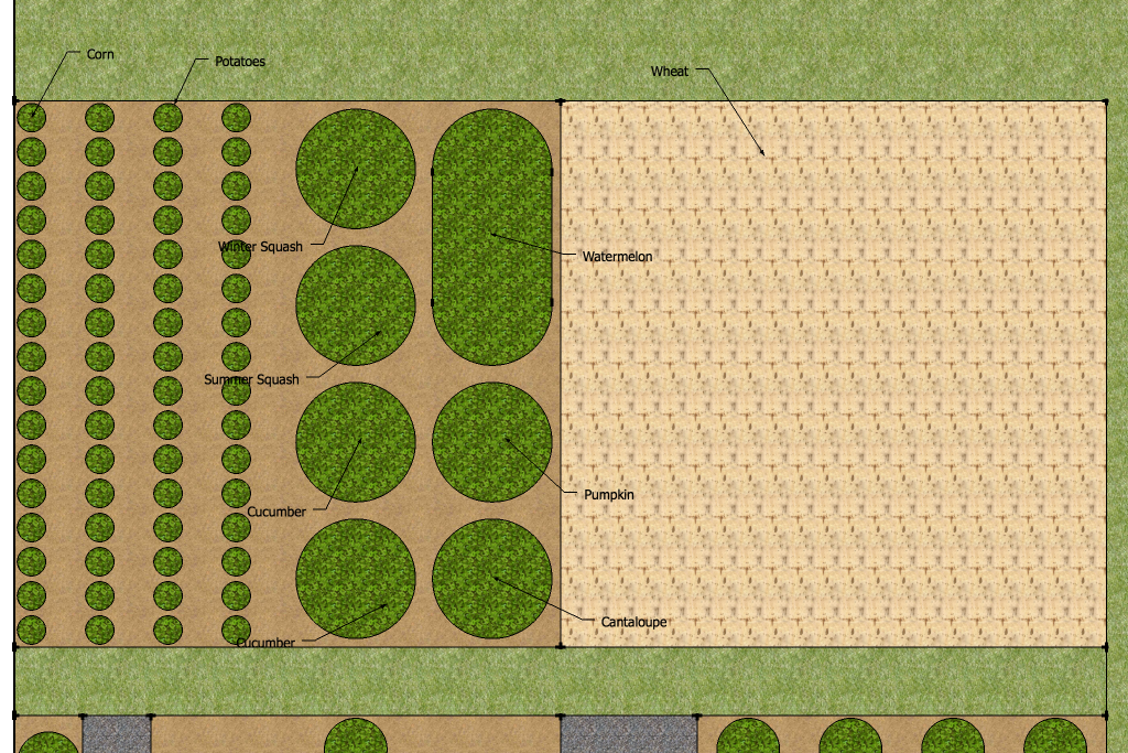 The Watson Backyard Homestead: Garden Plan 2012