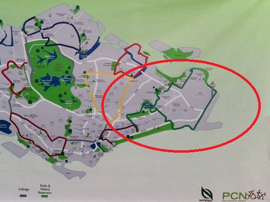 haPpY HaPpY: First Experience Cycling in Singapore - PCN