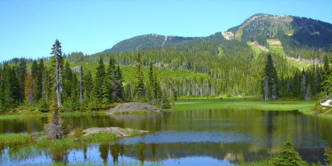 ZAP Adventures: Paradise Meadows Mount Washington