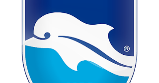 Delfino Pescara Kits 2016/2017 - Dream League Soccer 2017 & FTS16 ...