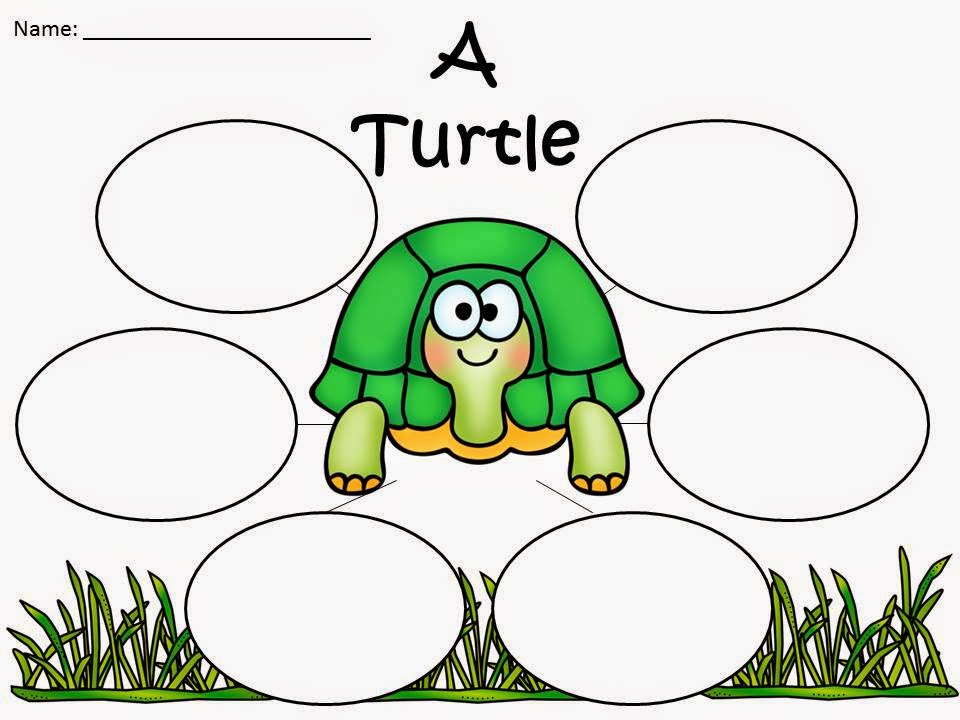 Fairy Tales And Fiction By 2: Have A Turtle-rific Summer Everyone!