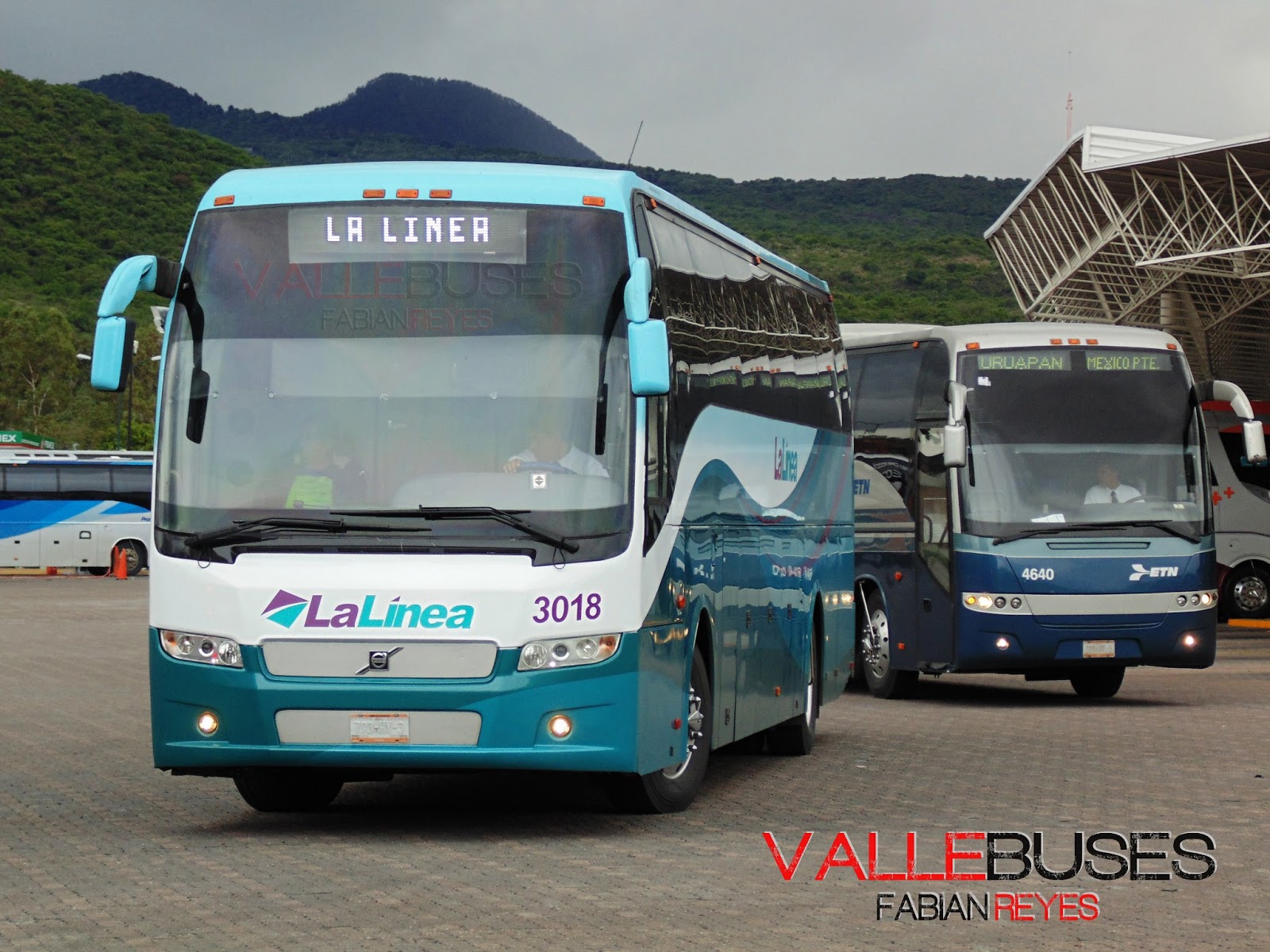 Vallebuses: 0437 - La Línea