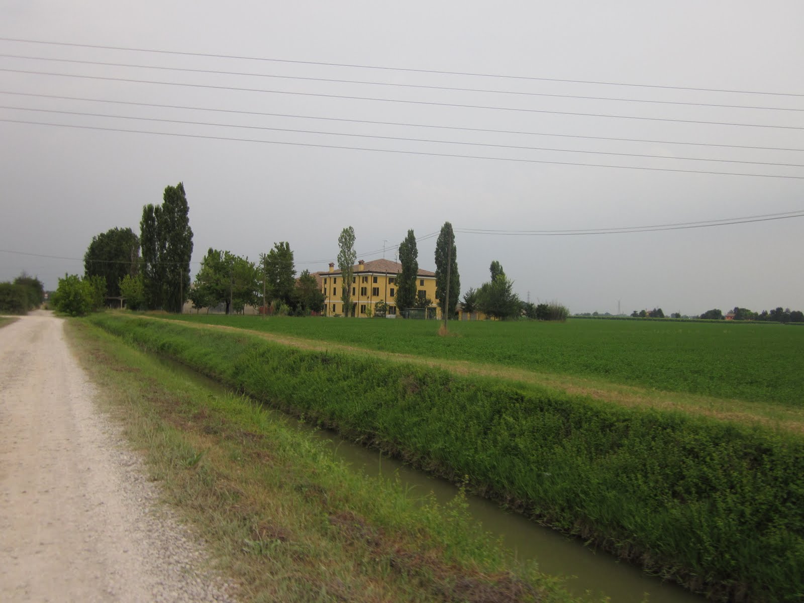 .oggi.: The adventures of Molly Totten