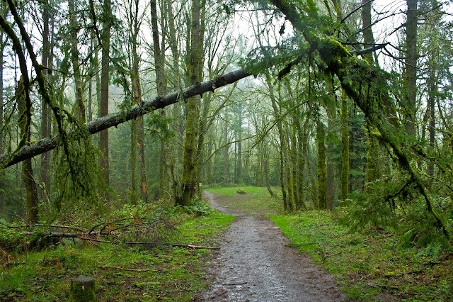 Dave Goes Outside: Forest Park