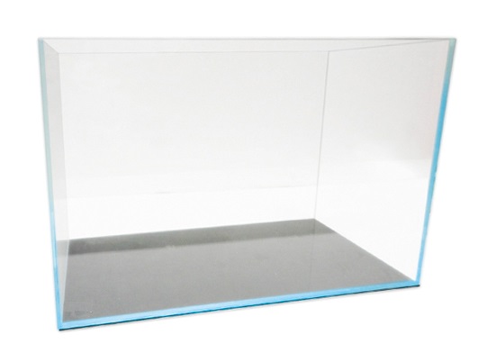 Tips Dasar Memulai Memelihara Ikan Hias di Akuarium - Dunia Akuarium