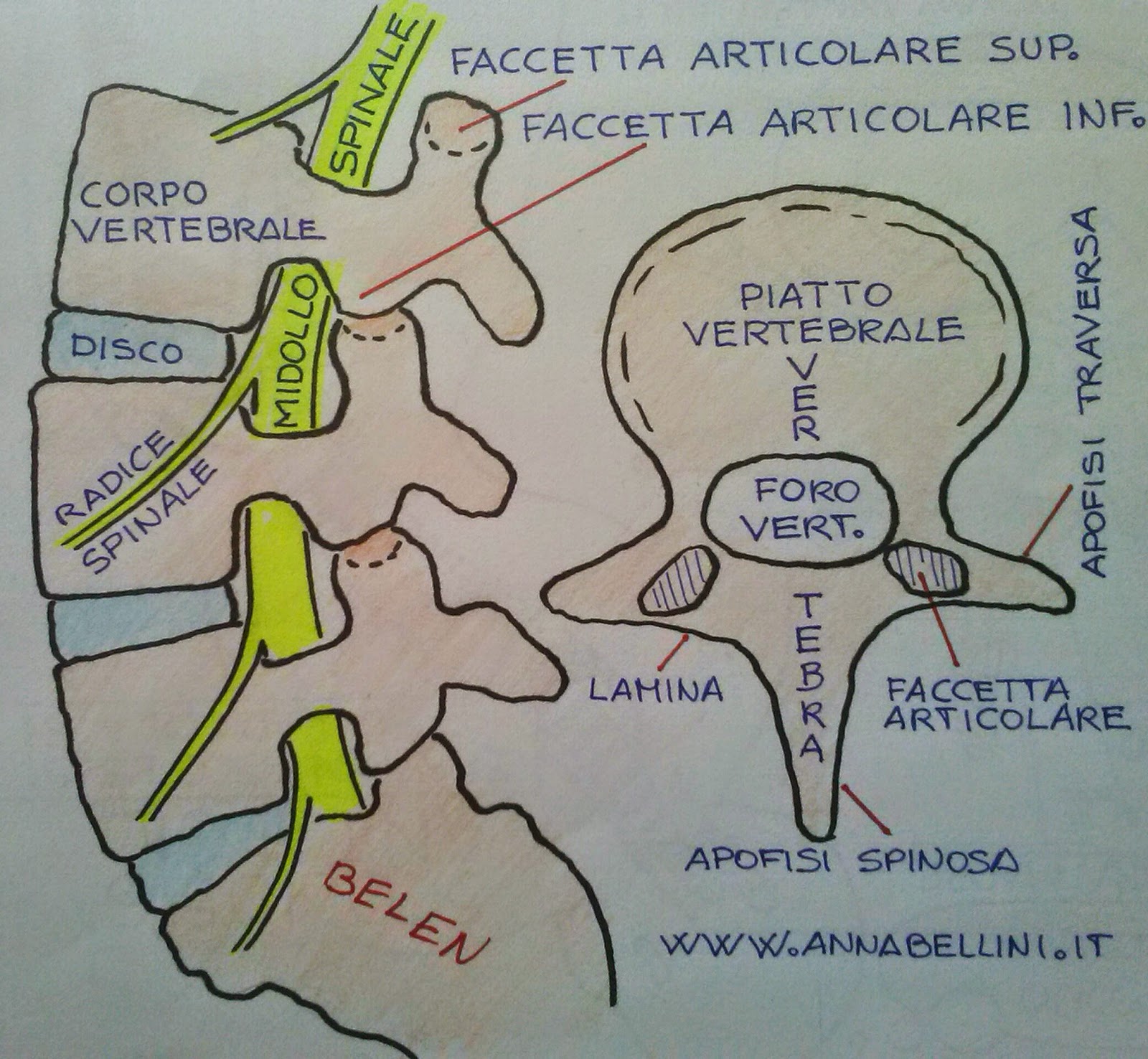 Vestiti da battesimo per bimbo: Sacco durale