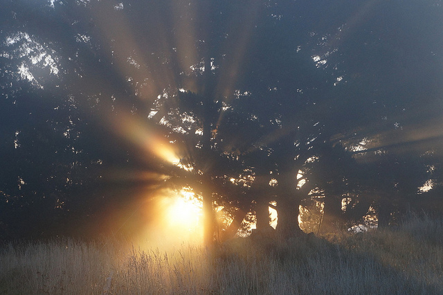 Fanda Classiclit: Sunset Views From Zola's The Masterpiece