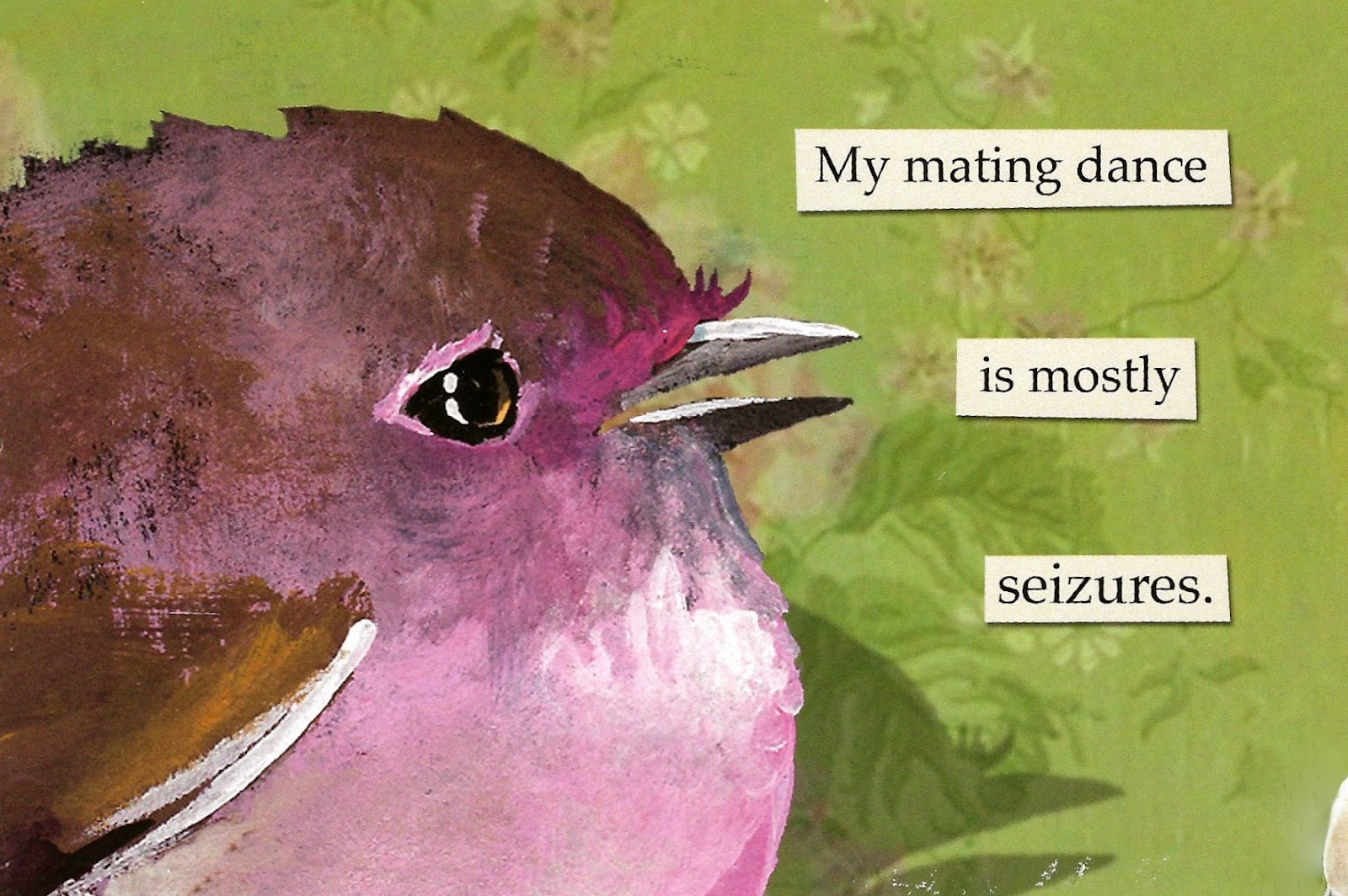 My Favorite Postcards: A Funny Bird - My Mating Dance is Mostly Seizures