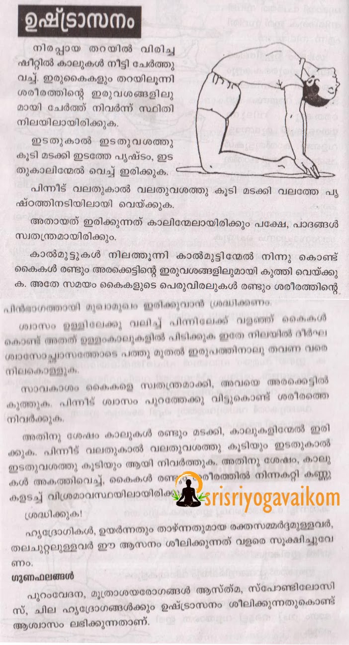 Ushtrasanam- Yogasanam | Sri Sri Ravishankar Yoga Meditation Classes at ...