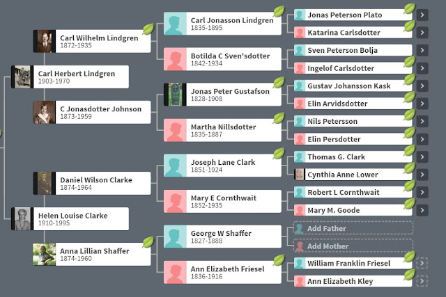 Lindgren and Allied Families: Lindgren Family - Family Tree