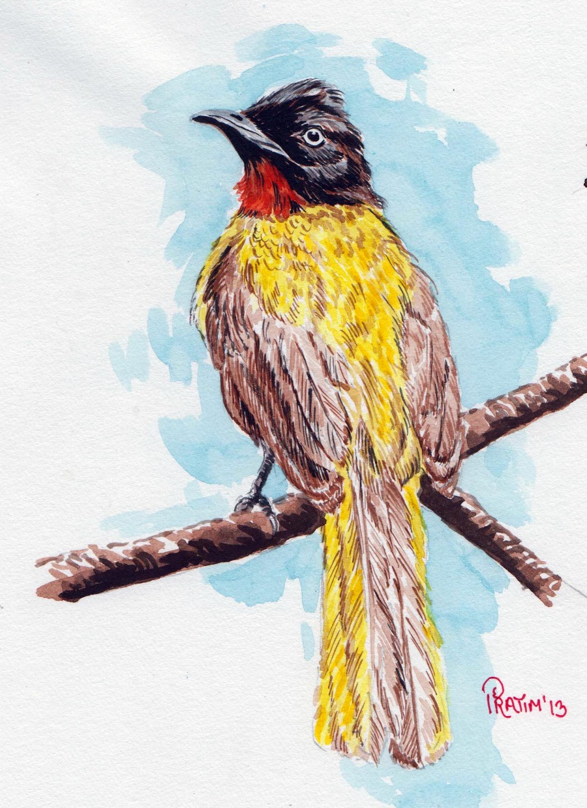 পাখি দেখুন পাখি চিনুন ...Observe the Birds and recognize: PAKHI DEKHOON ...