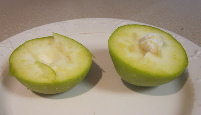 Cannundrums: White Sapote