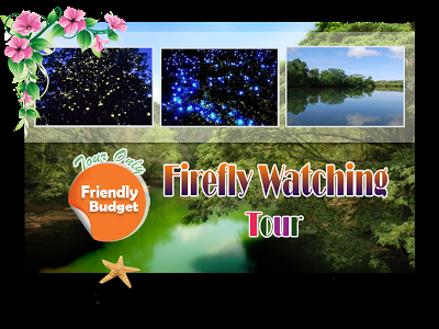 Firefly Watching in Bohol - Bohol Countryside Tours