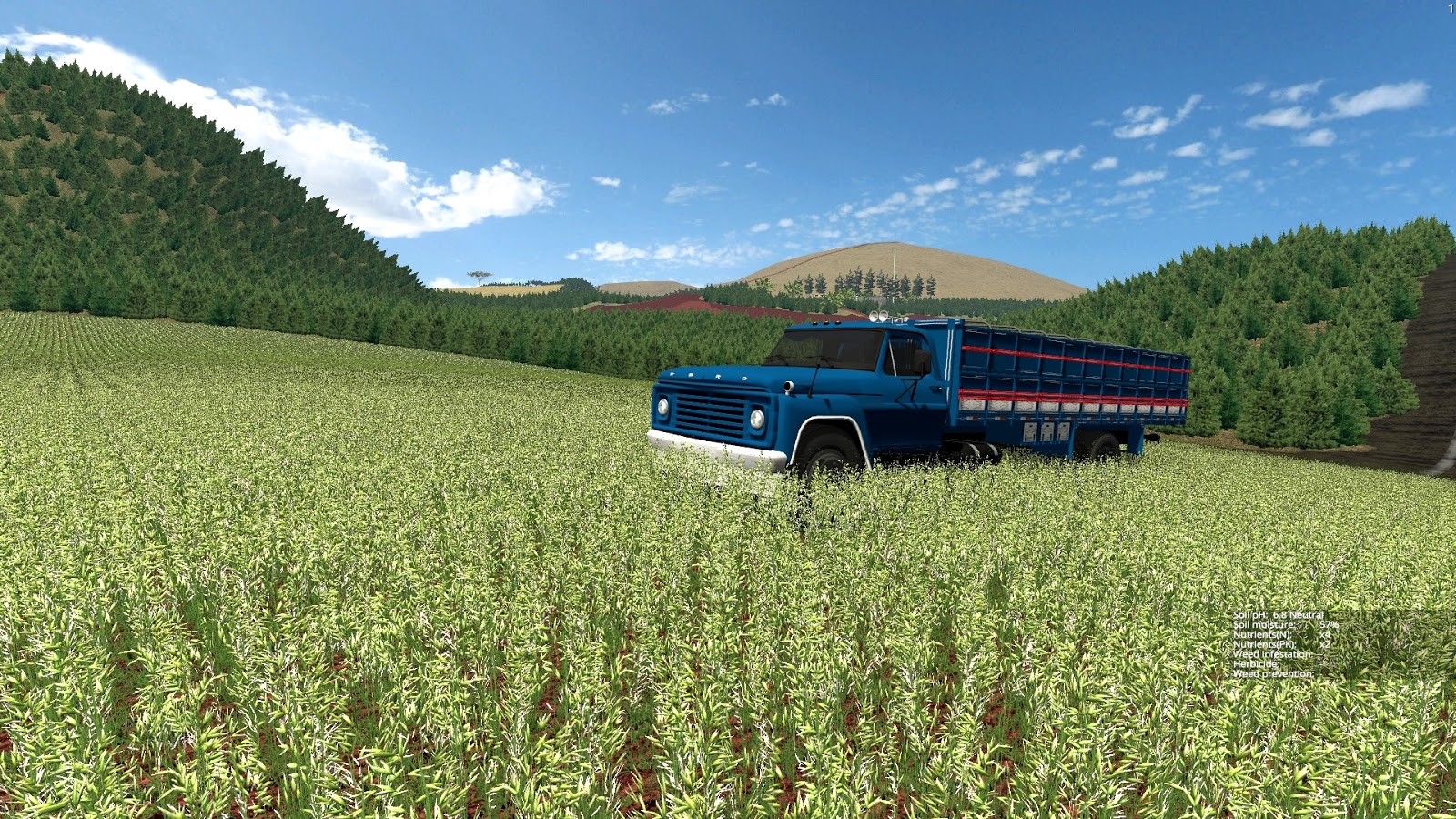 FAZENDA CANARINHO FS15