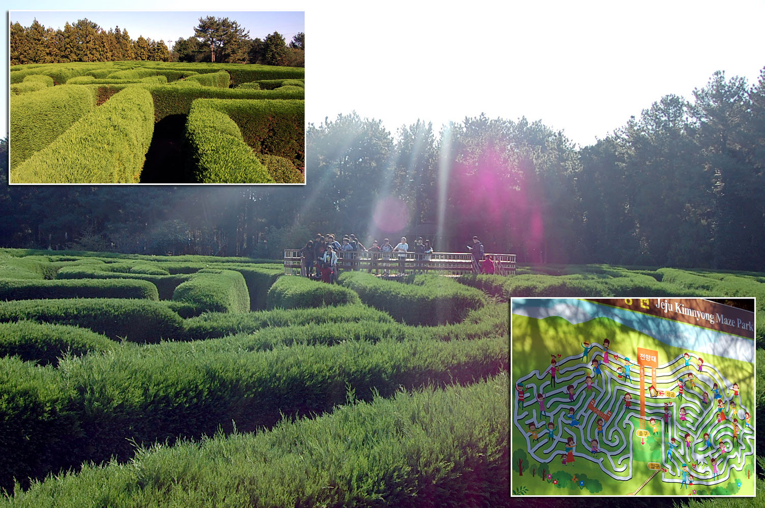 travel tales: South Korea: Jeju: Gimnyeong Maze Park