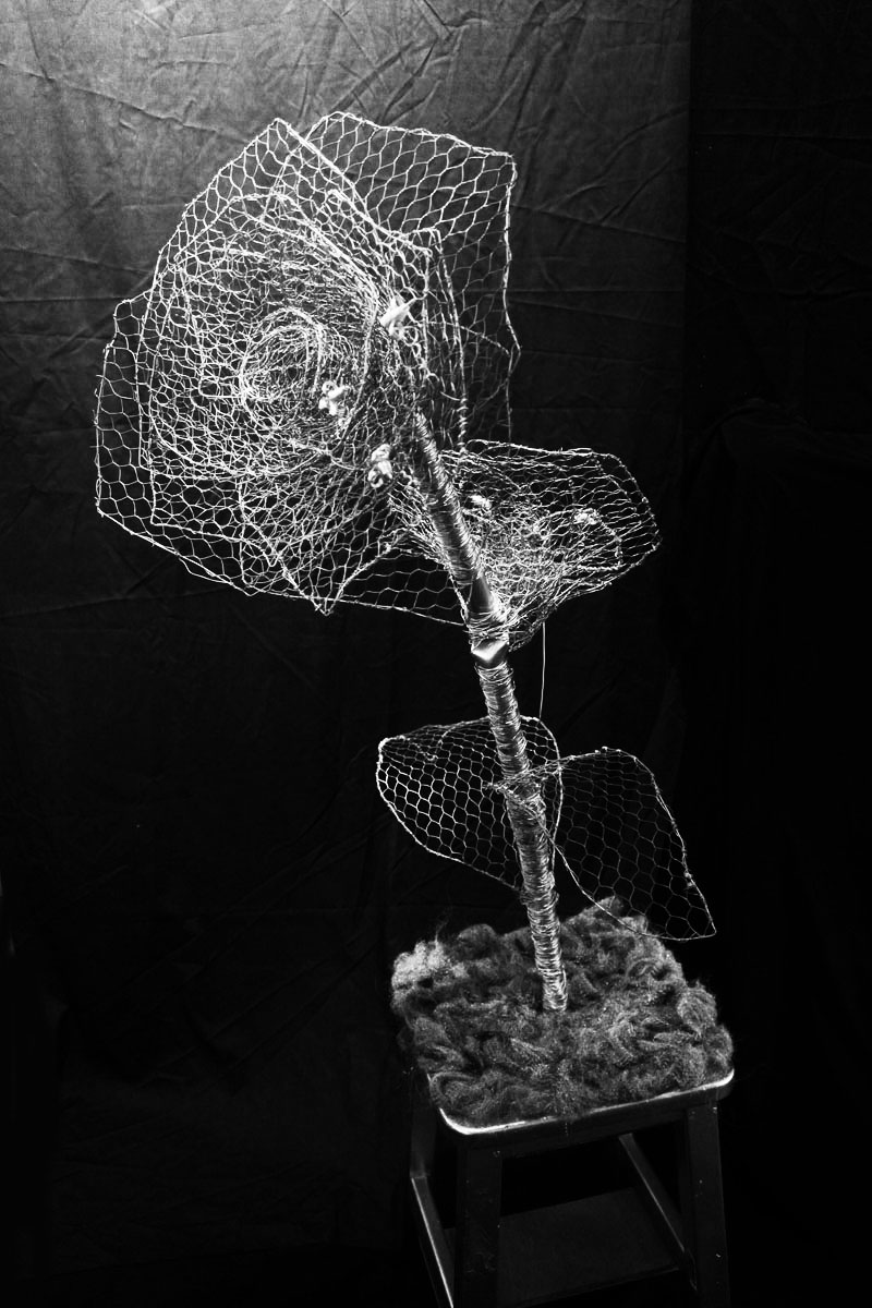 3D art from wire | It's all about the THE LIFE THEORY - laugh as much ...