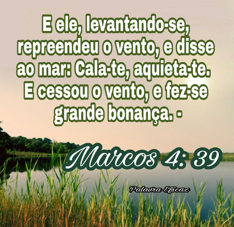 Palavra Eficaz : MARCOS 4 Comentário