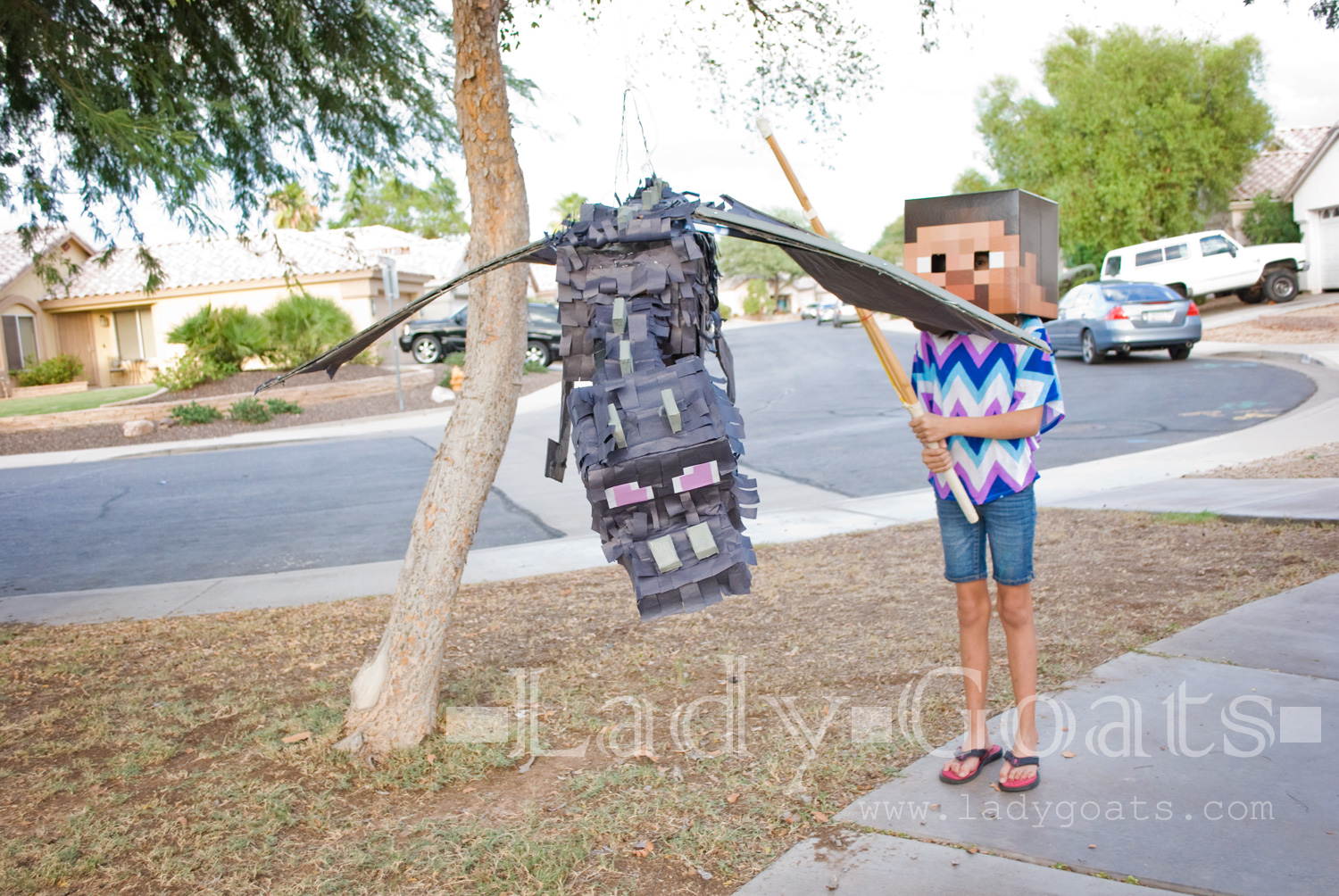 Minecraft Pinata Enderman