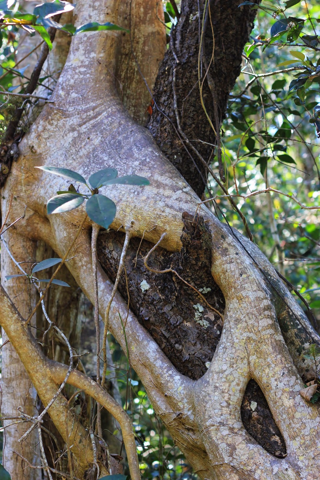 The Cynical Sailor & His Salty Sidekick: March 2015