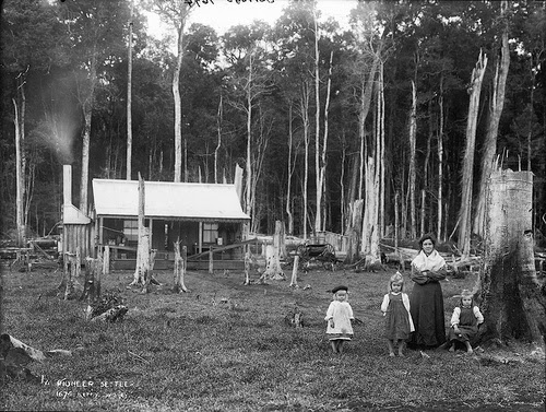 Bytes: Sydney or the Bush, some old time pics