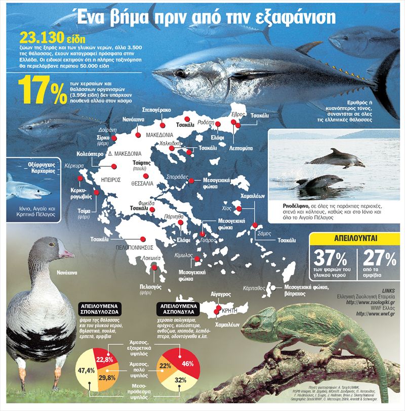 "TA MOZAKIA": Η ΧΛΩΡΙΔΑ ΚΑΙ Η ΠΑΝΙΔΑ ΤΗΣ ΕΛΛΑΔΑΣ