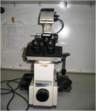 3-roetz: Inventor of Microscope Zacharias Janssen