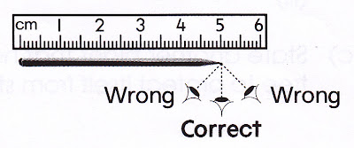 Learning MATH: Measure and Record Lengths of Objects