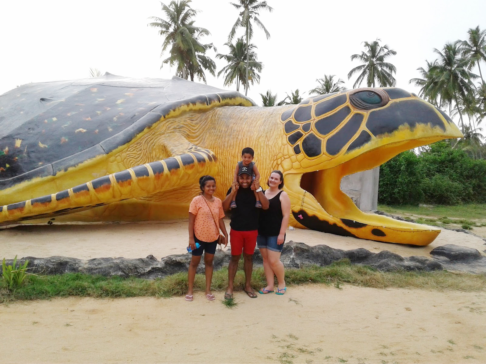 TURTLE HATCHERY ( TOURS NO 16) ~ ONE DAY TOURS