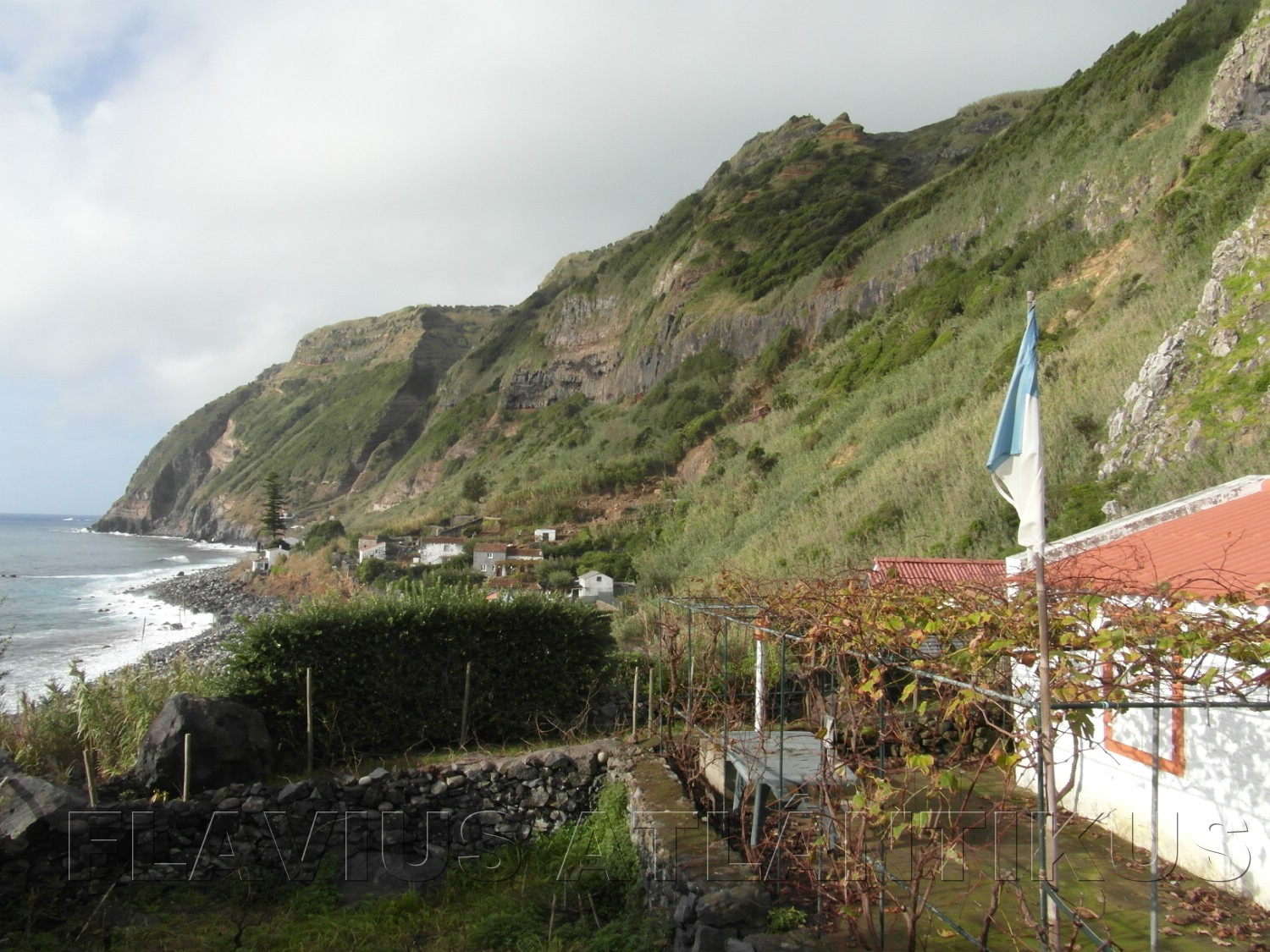 FLAVIUS ATLANTIKUS: Rocha da Relva - S. Miguel Island - Azores - Portugal