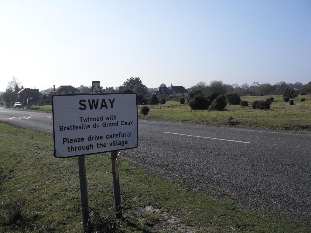 The Blog Wot I Wrote: If you go down to the woods today. Sway Treacle ...