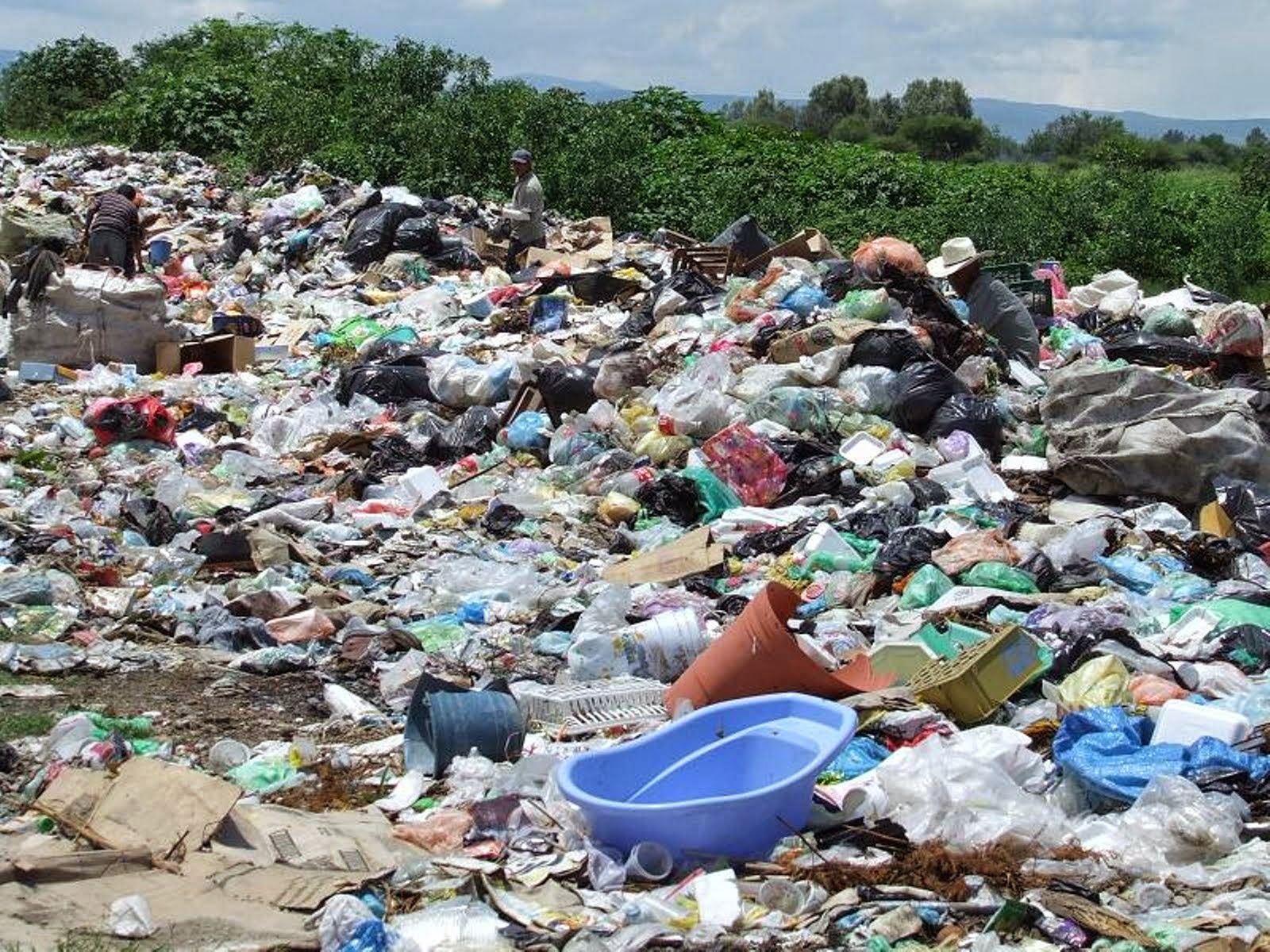 Club socios de la naturaleza: Bienvenidos
