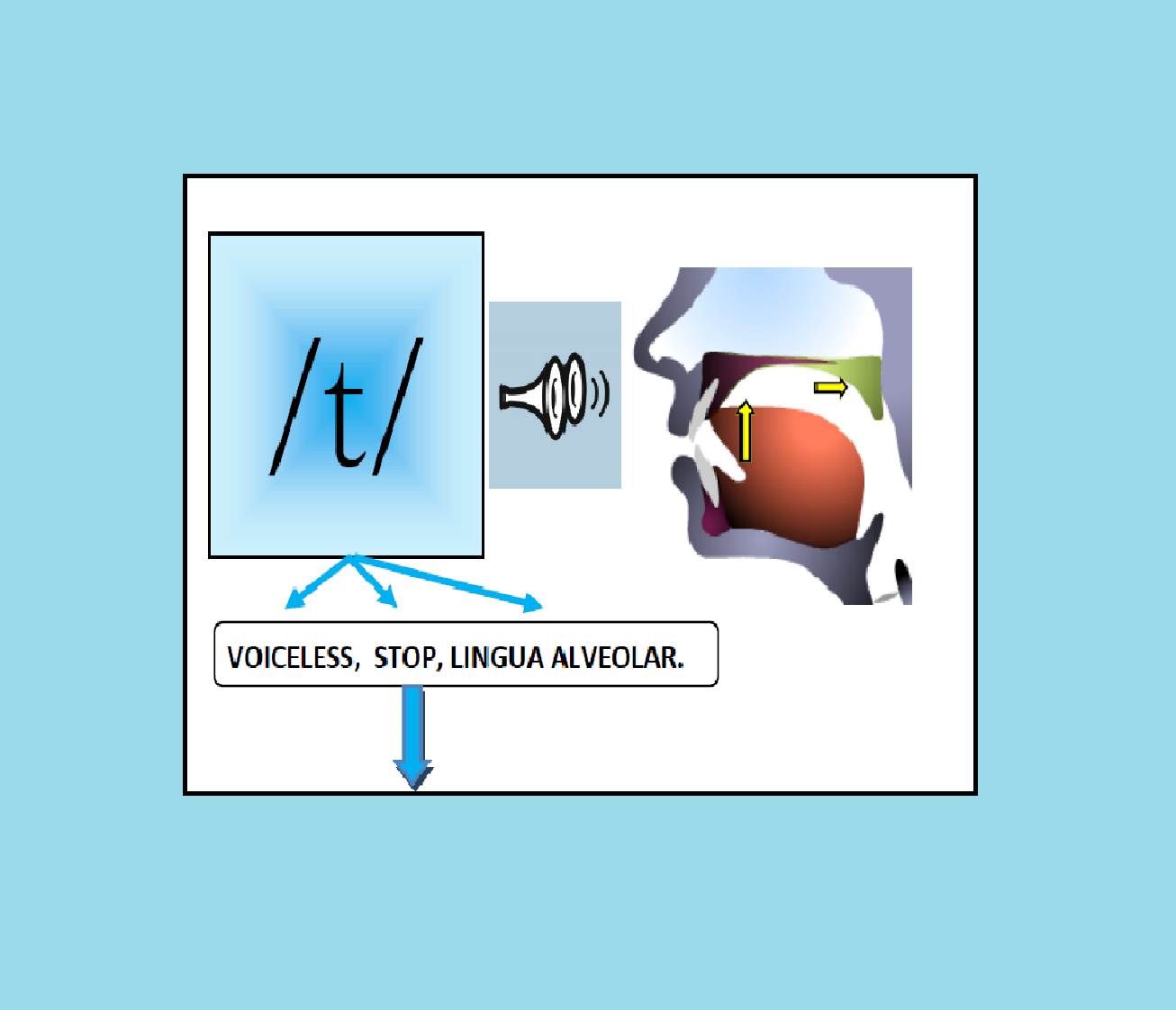 A GOOD ENGLISH PRONUNCIATION : FOLLOWING WITH THE CONSONANTS SOUNDS