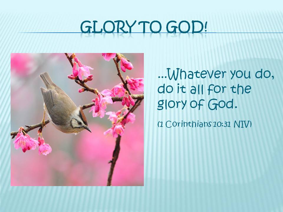 In God's Light (".): #154 Give Glory to God Everyday!