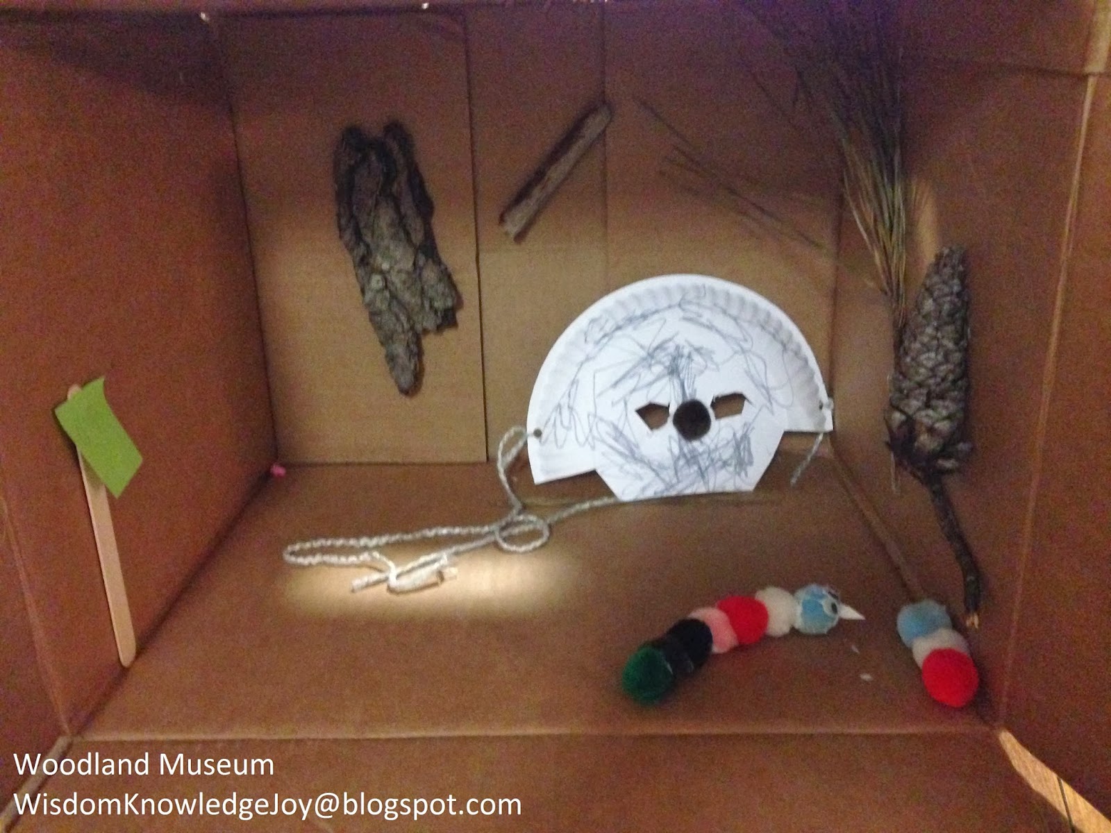 Wisdom. Knowledge .Joy: What to do with a box: Nature Museum