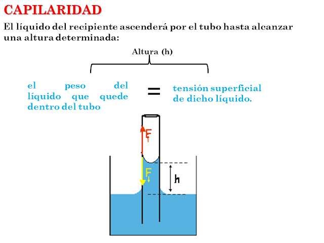 Física: Presentación Capilaridad