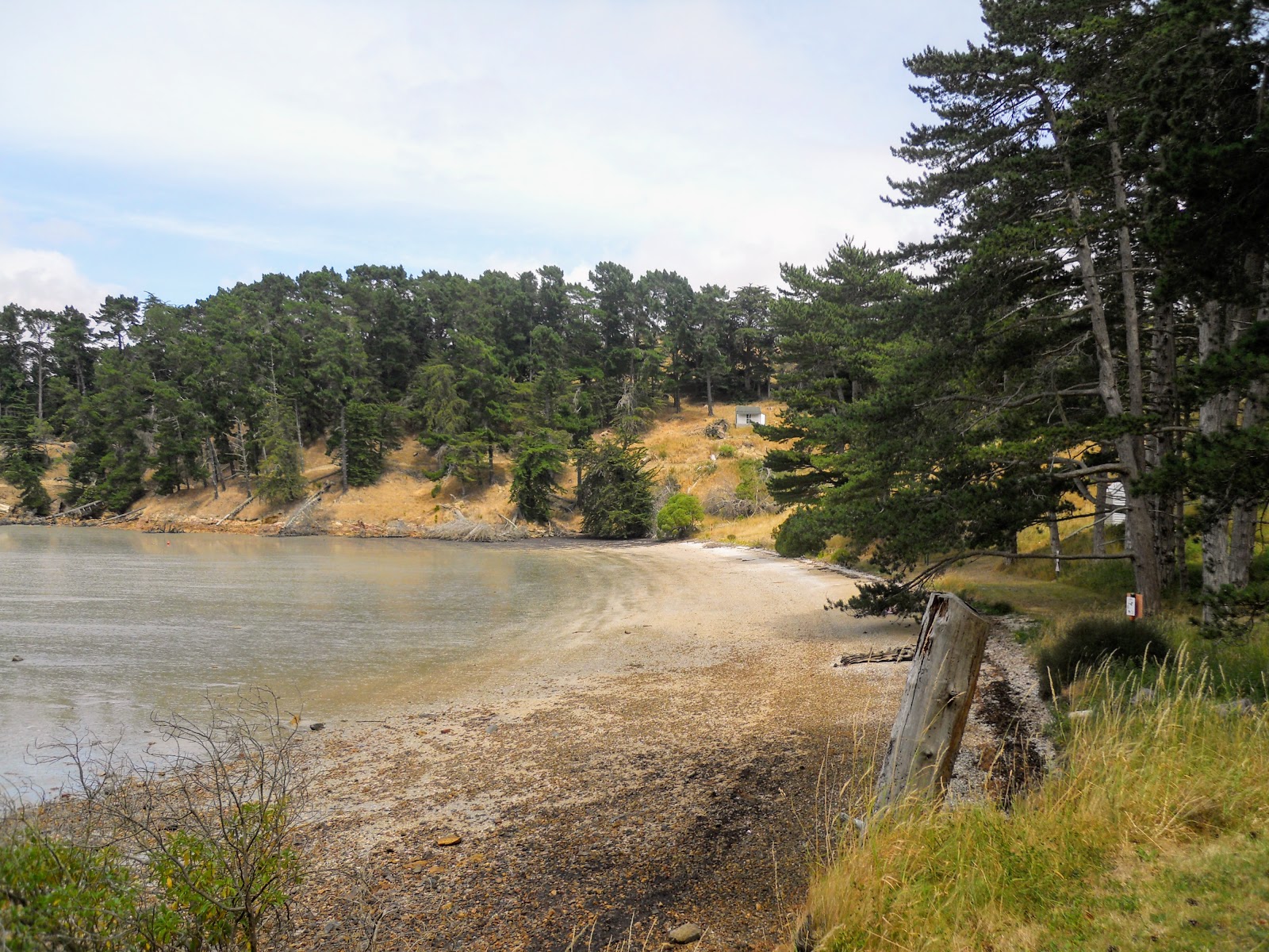 Tramping in the New Zealand backcountry: NZ Bush Adventures: Daytrip to ...