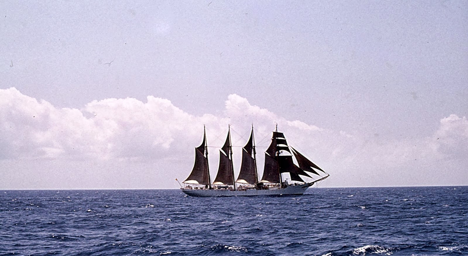 'ZIEN EN WETEN': ONOBA S.S. SHELL TANKERS B.V. (DEEL 2-B)