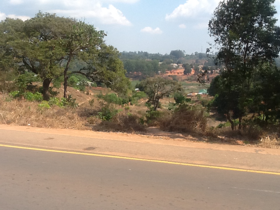 News from Mzuzu: Life on the Chimaliro Road