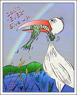 Energetic Beings: Frog and the Stork