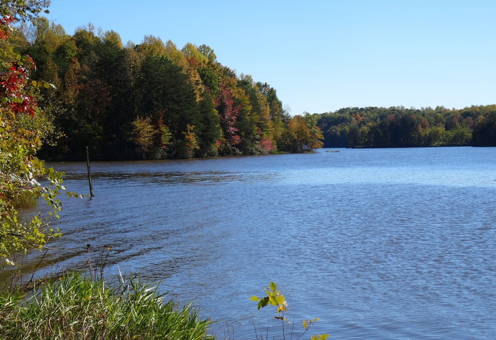 Femme au foyer: Reidsville and the Celtic Fringe