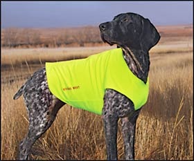 Adventures of a GSP Hunting Dog: Seriously Awesome Holiday Gifts for ...